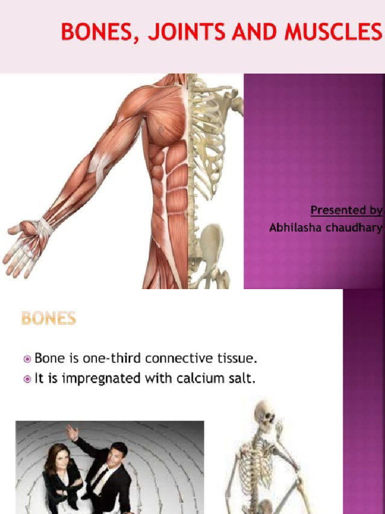 Bones and Joints | PDF