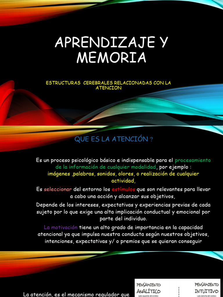 Estructuras Cerebrales Relacionadas Con La Atencion Pdf Cerebro