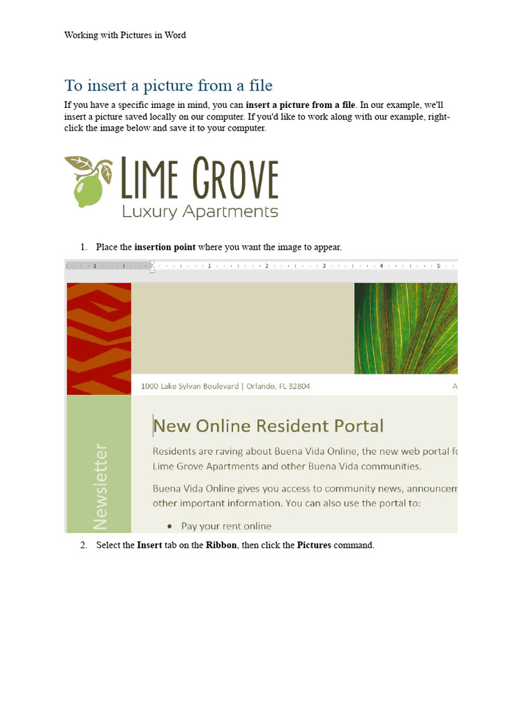 1 HowTo Insert Pictures Word | PDF | Page Layout | Computer File