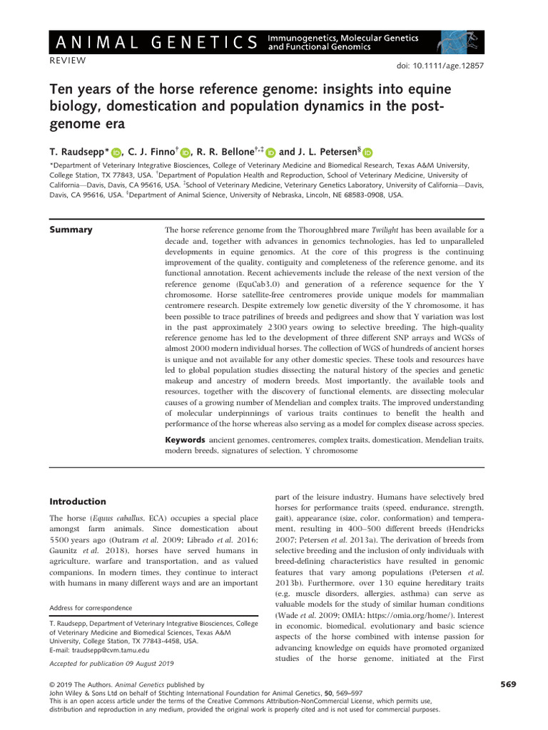 Ten Years of The Horse Reference Genome: Insights Into Equine Biology ...