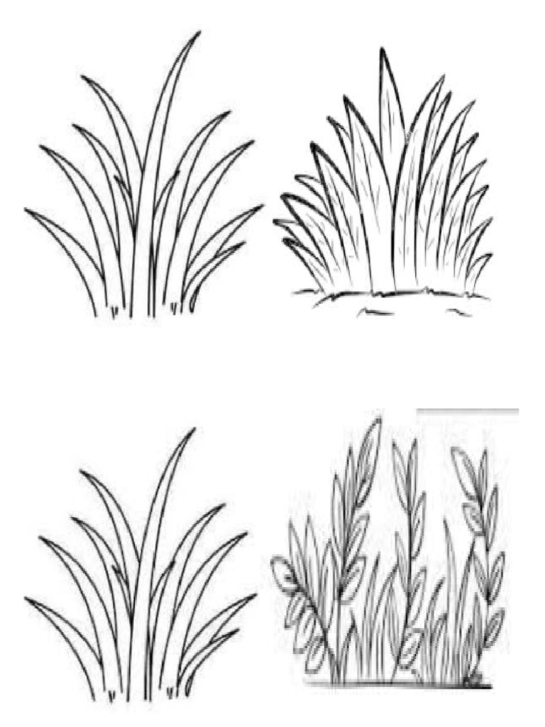 Mewarnai Rumput | PDF
