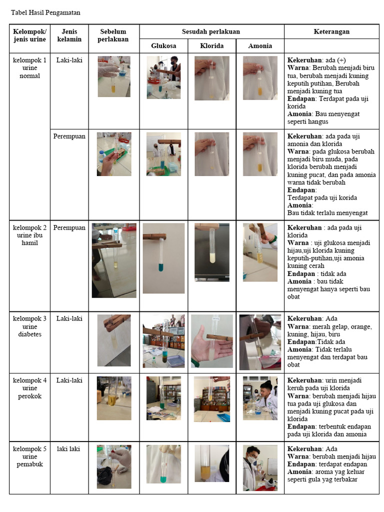 Tabel Hasil Pengamatan | PDF