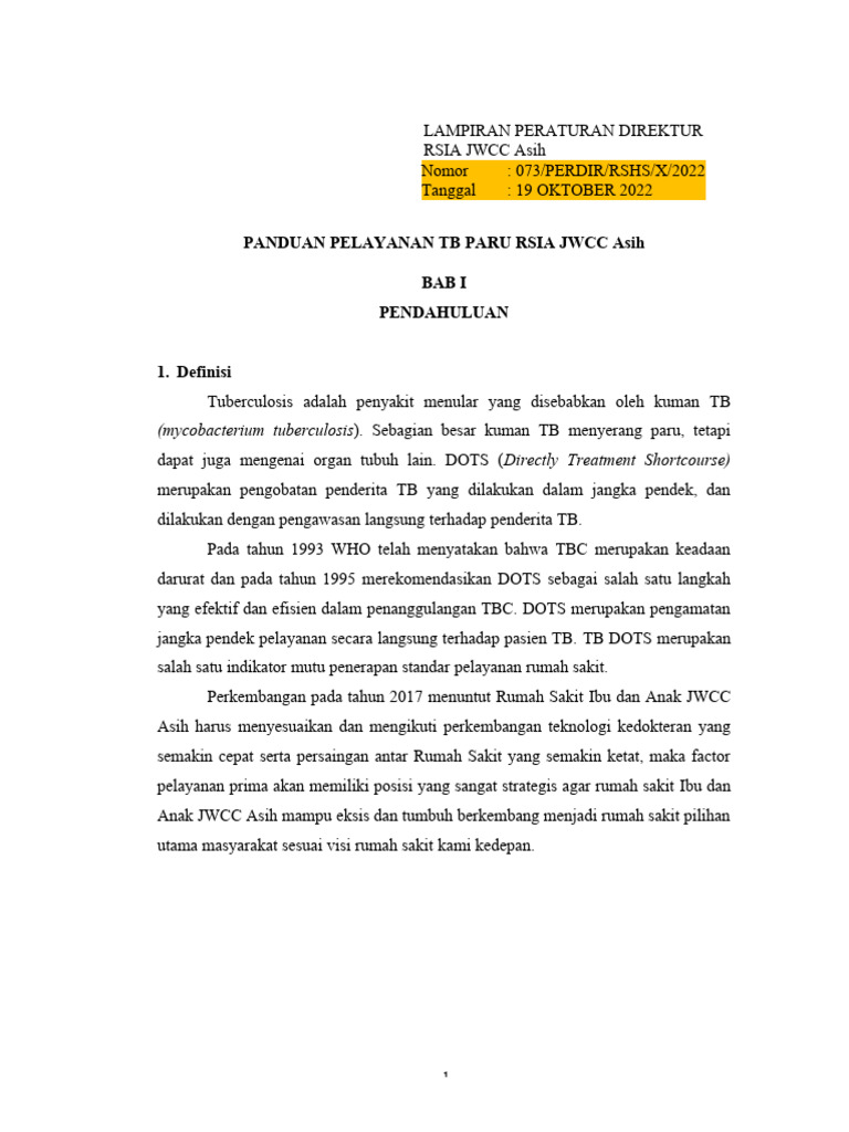 Panduan TB Dots Dengan Format | PDF