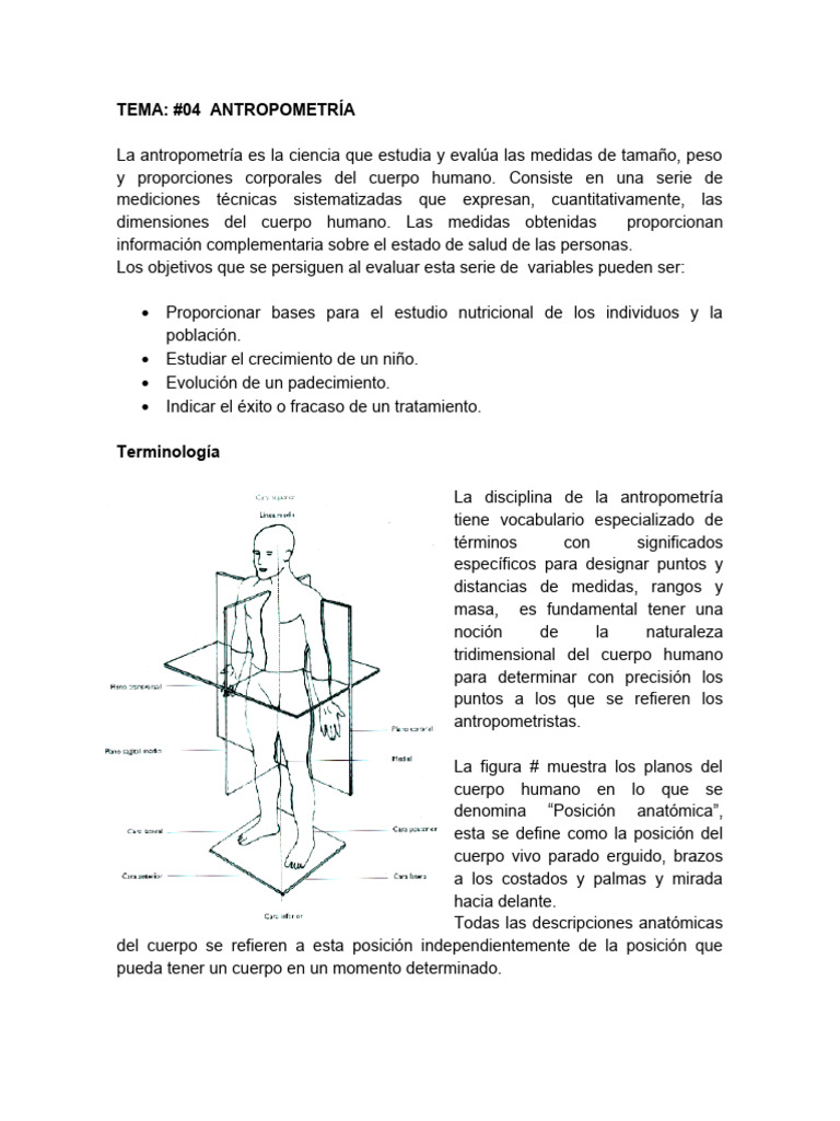 TEMA #03 ANTROPOMETRÍA | PDF | Antropometría | Términos anatómicos de ...