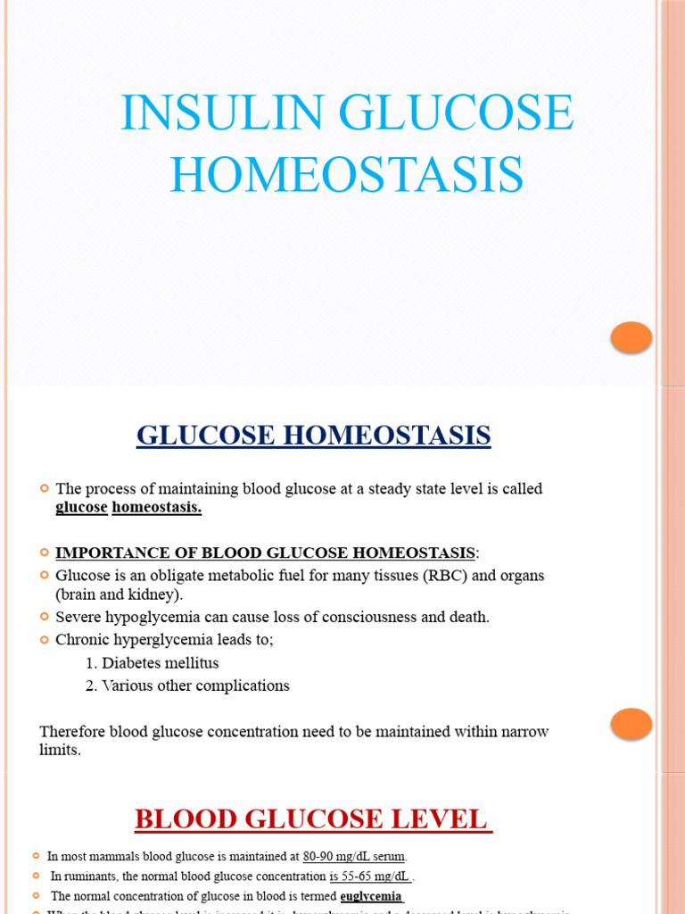 Insulin - Glucose - Homeostasis Group 6 | PDF | Insulin | Glucose