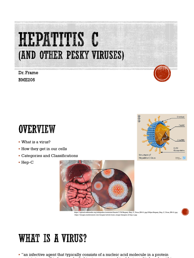 12 Hepatitis C Lecture Handout | PDF | Virus | Interferon Gamma