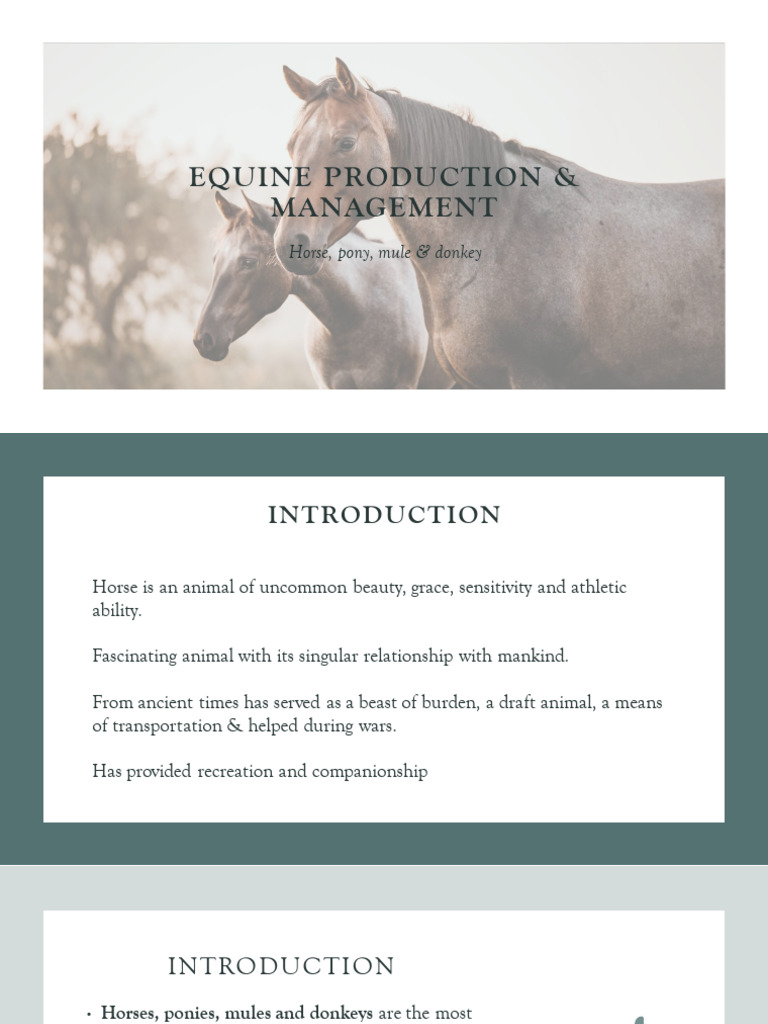 Equine Intro and Vices | PDF | Horses | Senses