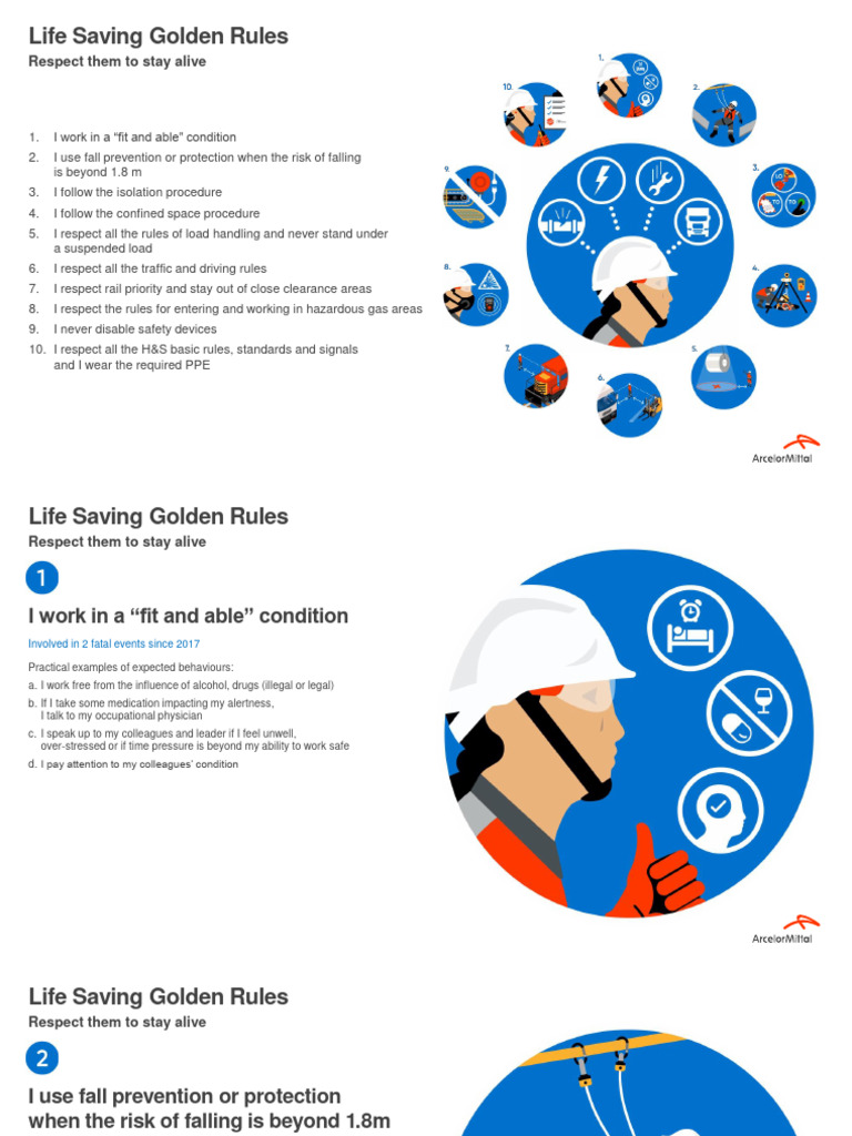 Aml Life Saving Golden Rules | PDF | Risk | Vehicles