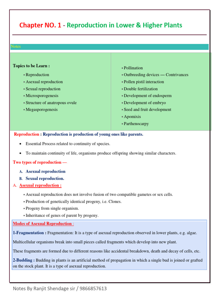Reproduction in Lower and Higher Plants | PDF | Seed | Fertilisation