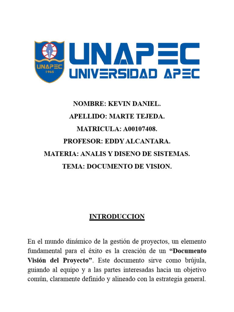 Ensayo de Documento de Vision Proyecto. | PDF | Business