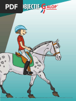 Fiches Pedagogique Galop 3 | PDF | Allure (équitation) | Pédagogie
