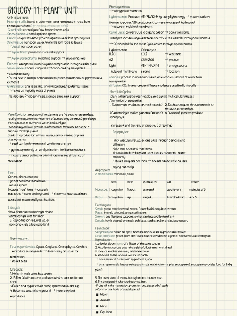 Biology Study Guide | PDF | Flowers | Seed