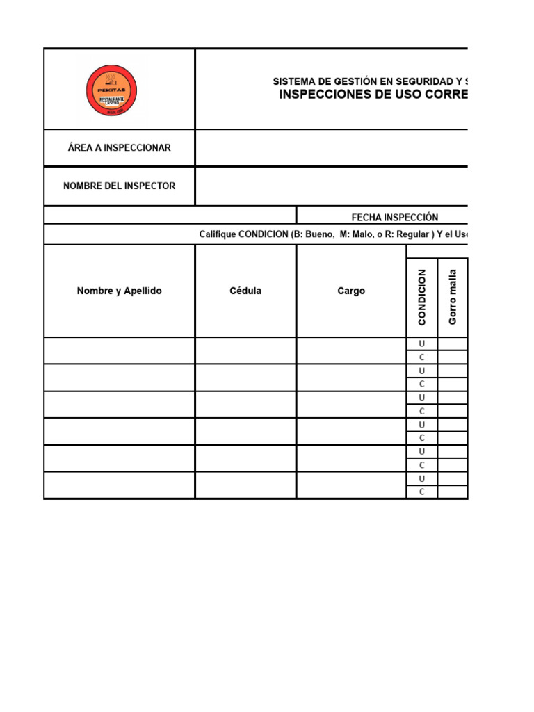 Informe de Inspección de EPP | PDF