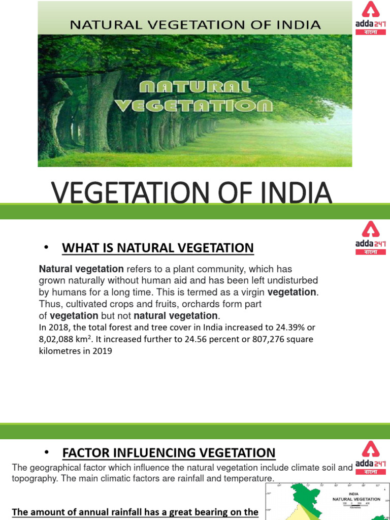 Vegetation Wbcs | PDF | Forests | Himalayas