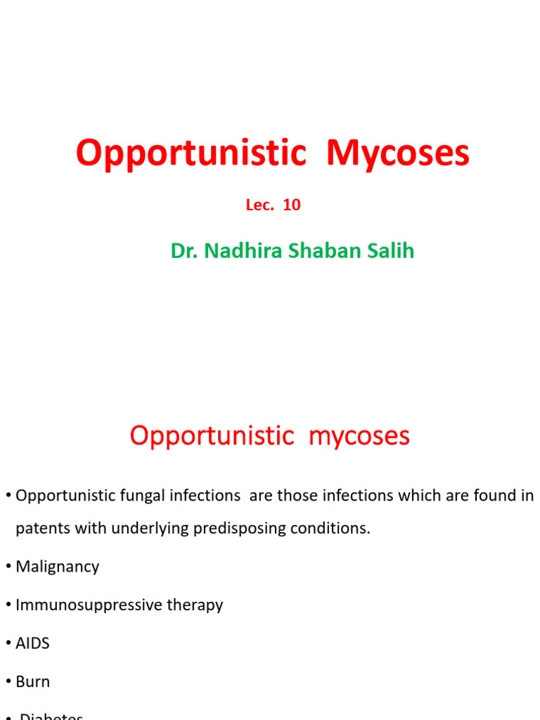 Lec. 10 Opportunistic Mycoses | PDF | Candidiasis | Candida (Fungus)