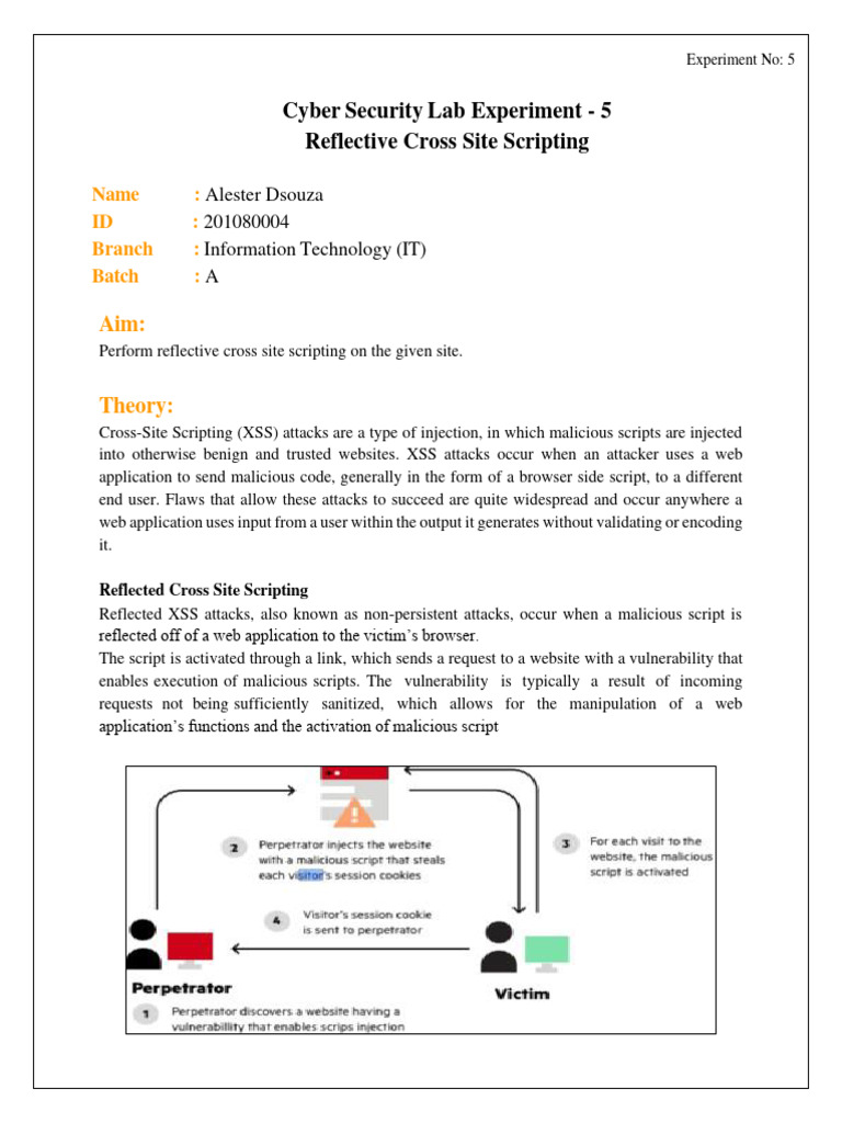 Reflective Cross Site Scripting Experiment | PDF | Information ...