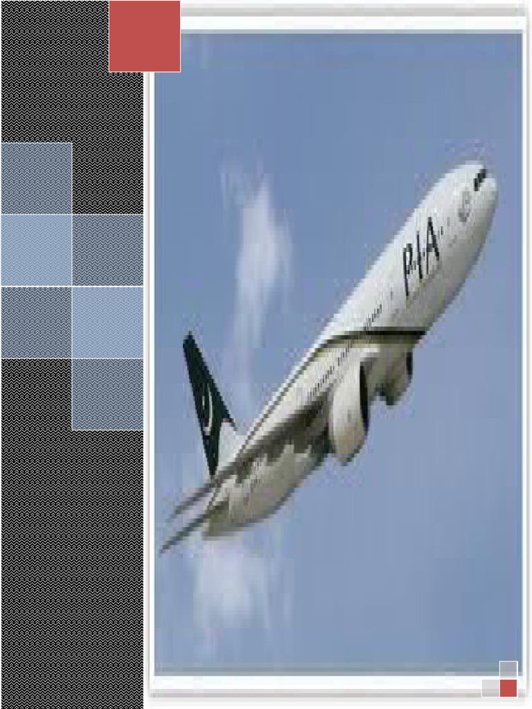 Pia Report 1nw | PDF | Human Resource Management | Employment