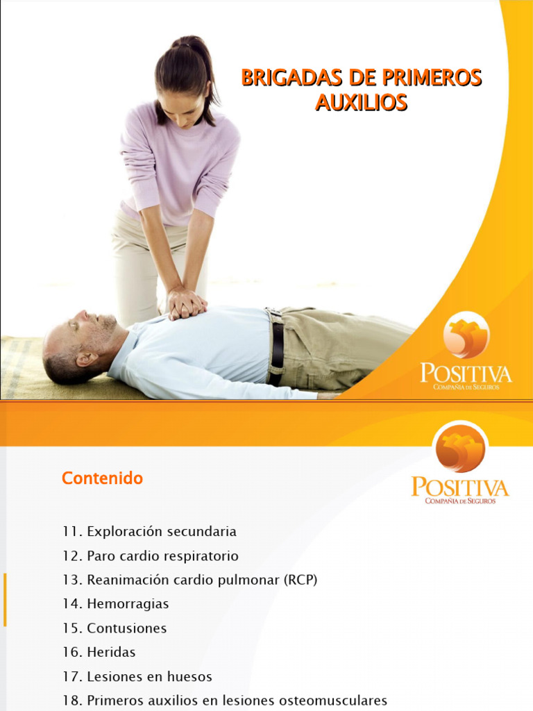Primeros Auxilios | Descargar gratis PDF | Primeros auxilios | Avispa