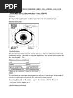 Form 2 Geography Notes | PDF | Volcano | Plate Tectonics