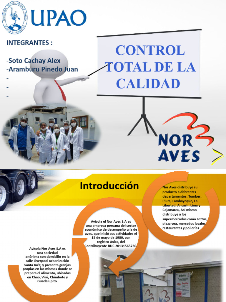 Expo Calidad Pdf