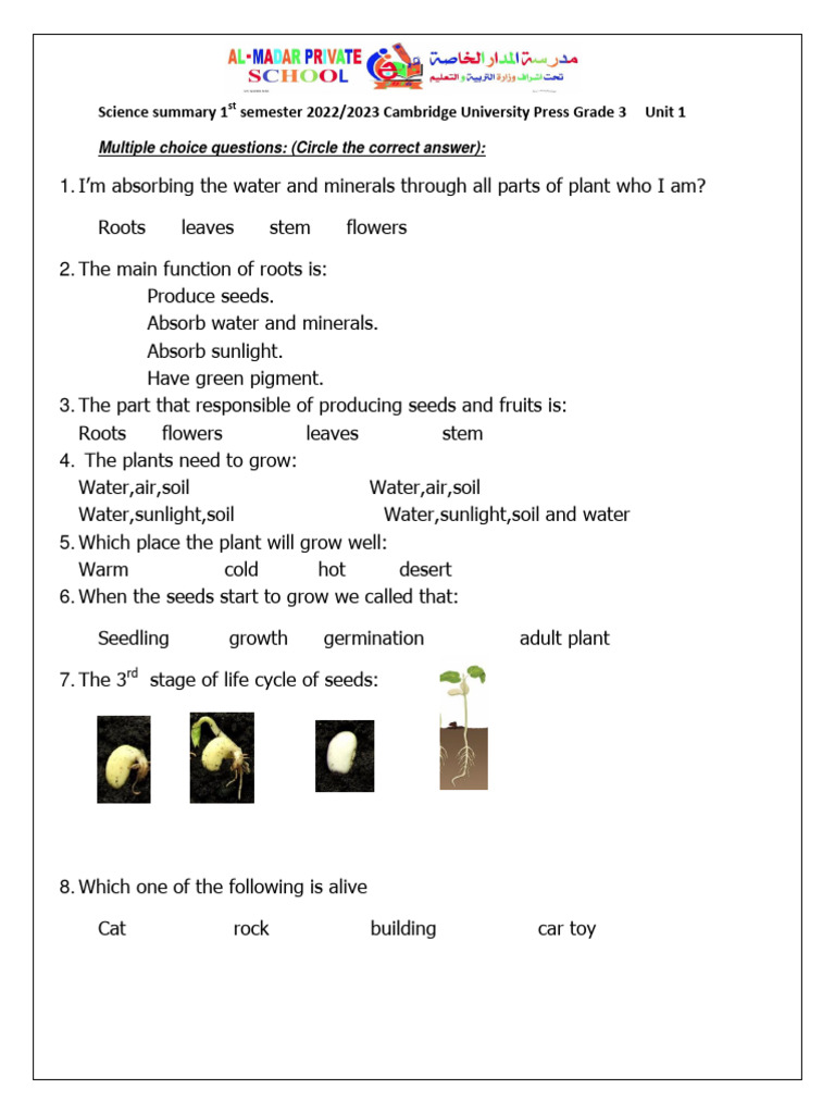 Grade 3 Plant Science Quiz 2022-2023 | PDF | Seed | Plants