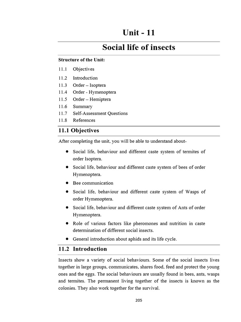 Insect Social Structures | PDF | Eusociality | Ant