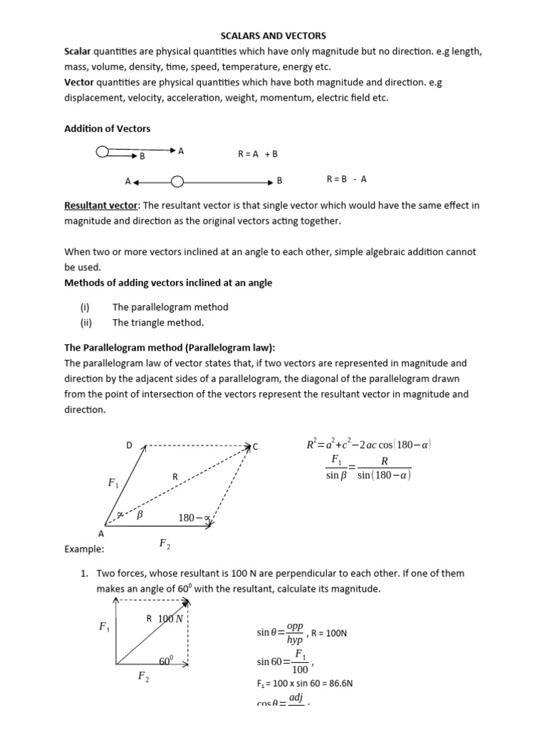 Scalars and Vectors | PDF | Euclidean Vector | Force