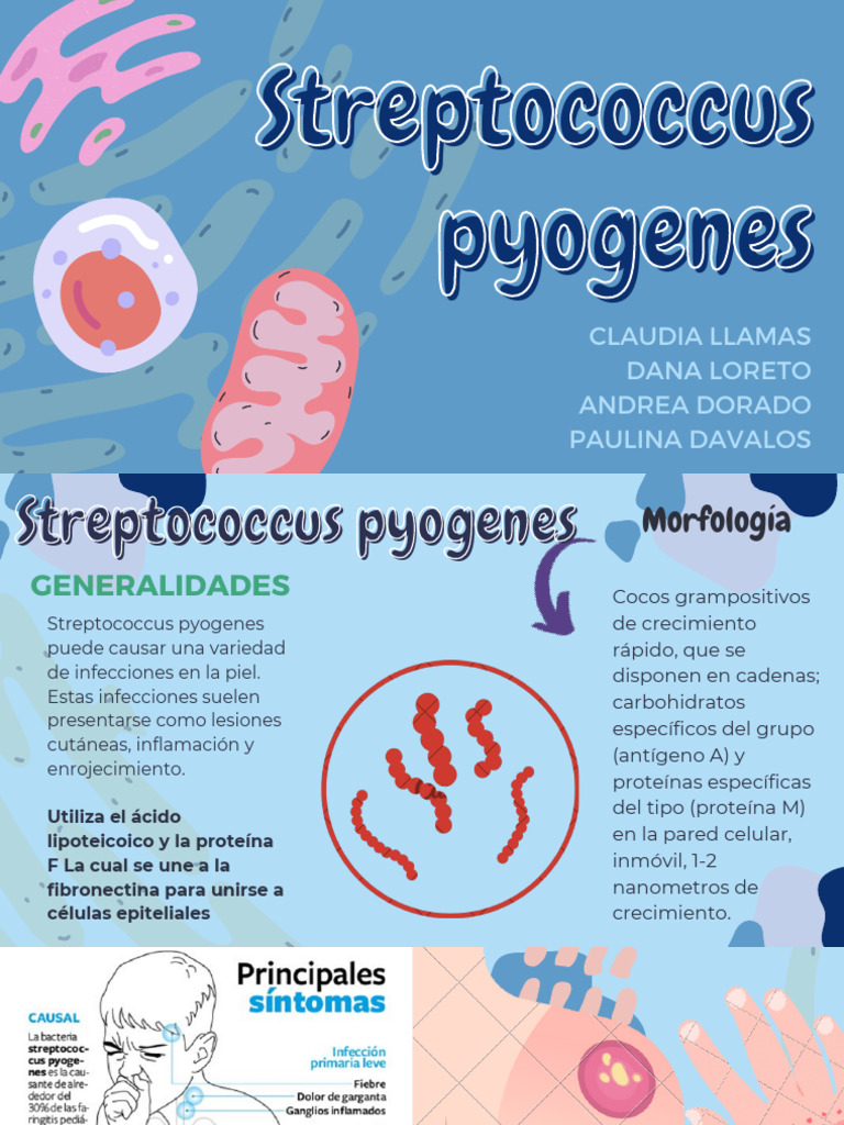 Presentación Streptococcus Pyogenes | PDF | Especialidades Medicas | Enfermedades y trastornos