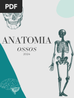 Estrutura dos Ossos do Tronco Humano | PDF