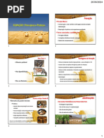 Processo de Produção de Feno | PDF | Feno | Agricultura