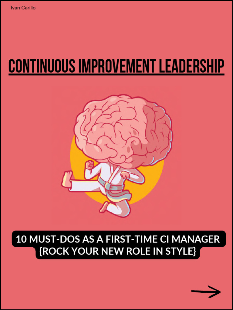 10 CI Strategies | PDF | Mentorship | Mindset