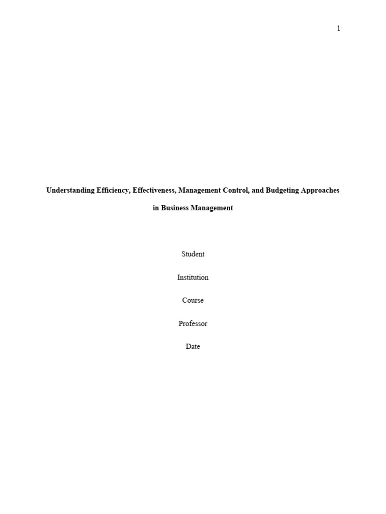 Understanding Efficiency, Effectiveness, Management Control, and ...