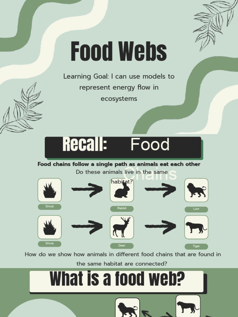 Food Webs Educational Presentation in Green Lively Style | PDF | Food ...