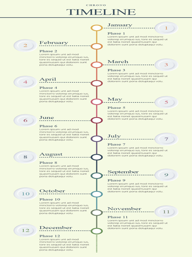 Multicolor Professional Chronological Timeline Infographic | PDF