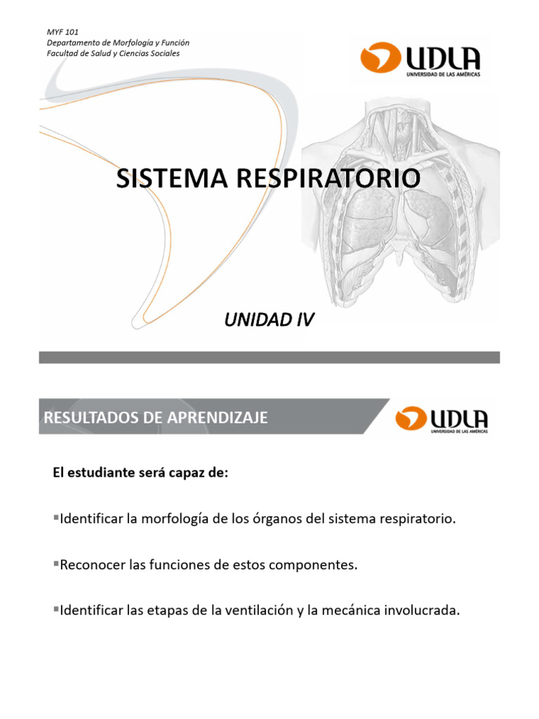 Sistema Respi | PDF | Laringe | Pulmón