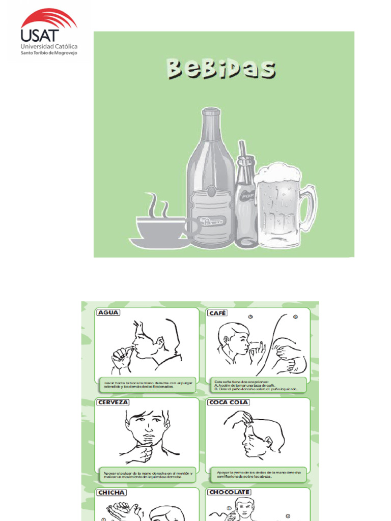 Bebidas Pdf