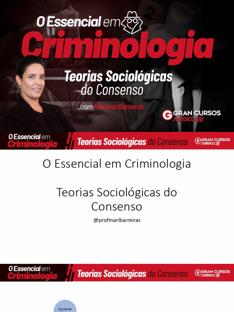 O Essencial 4 Teorias SociolÃ Gicas Do Consenso Parte 2 | PDF | Criminologia | Sociologia