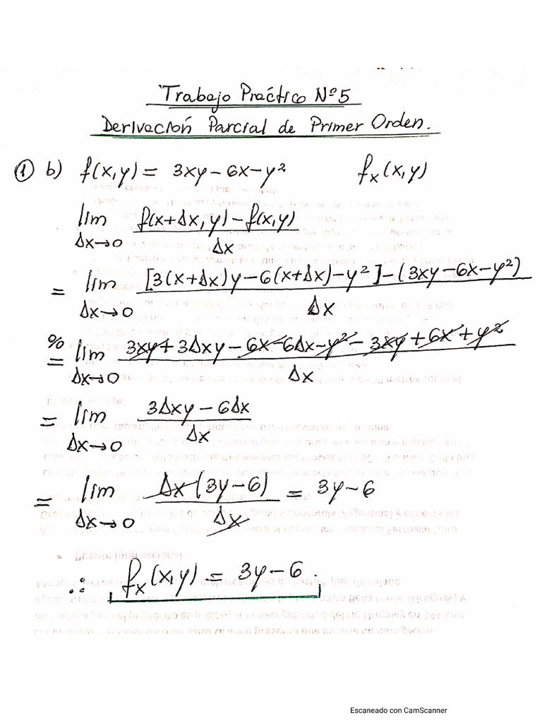 Trabajo Práctico N°5. Derivación Parcial de Primer Orden | PDF