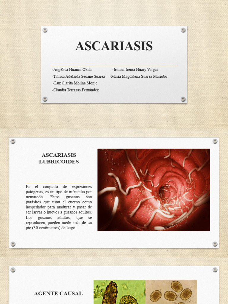 Ascariasis, Grupo 8 | PDF | Medicina CLINICA | Enfermedades y trastornos