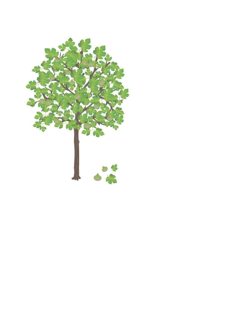 Flora 2 Pdf