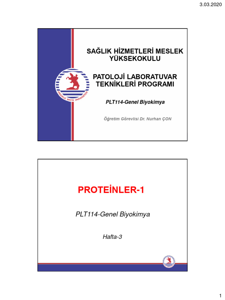Biyokimya 3 Proteinler 1 | PDF
