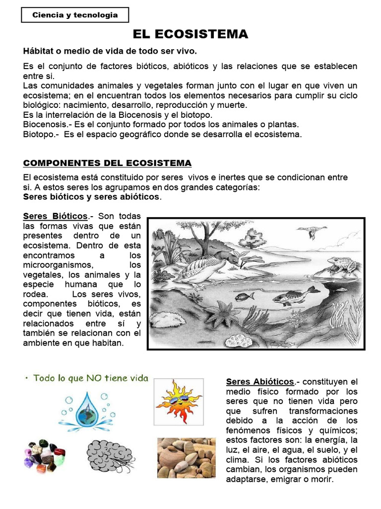 El Ecosistema | PDF | Ecosistema | Habitat