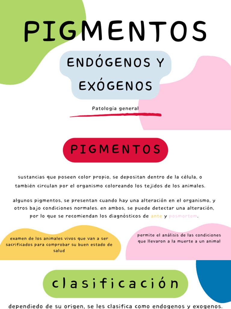 Pigmentos Endogenos y Exogenos - Neumoconiosis | PDF | Sangre | Glóbulo rojo
