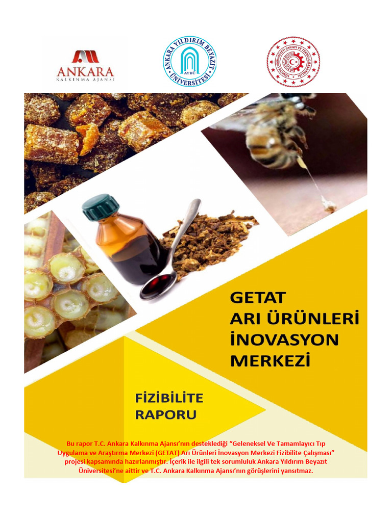 Getat Ari Urunleri Inovasyon Merkezi Fizibilite Raporu | PDF