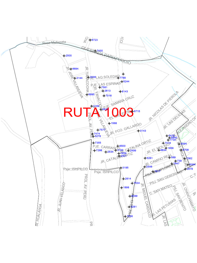 Ruta 1003 | PDF