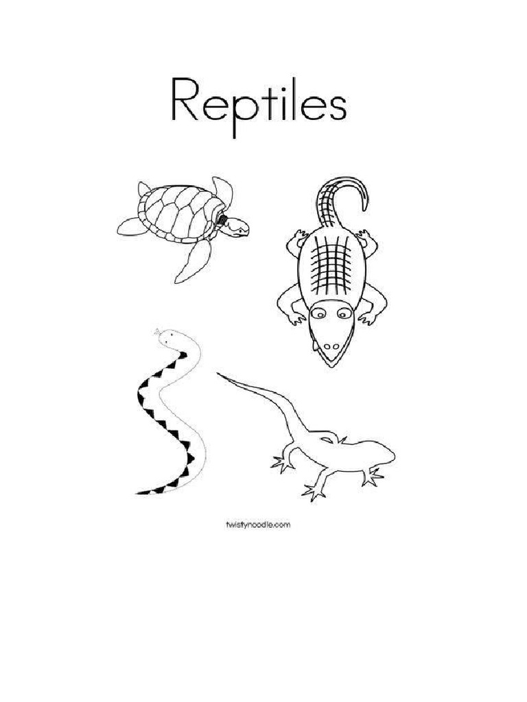 Animal Group Project REPTILES | PDF