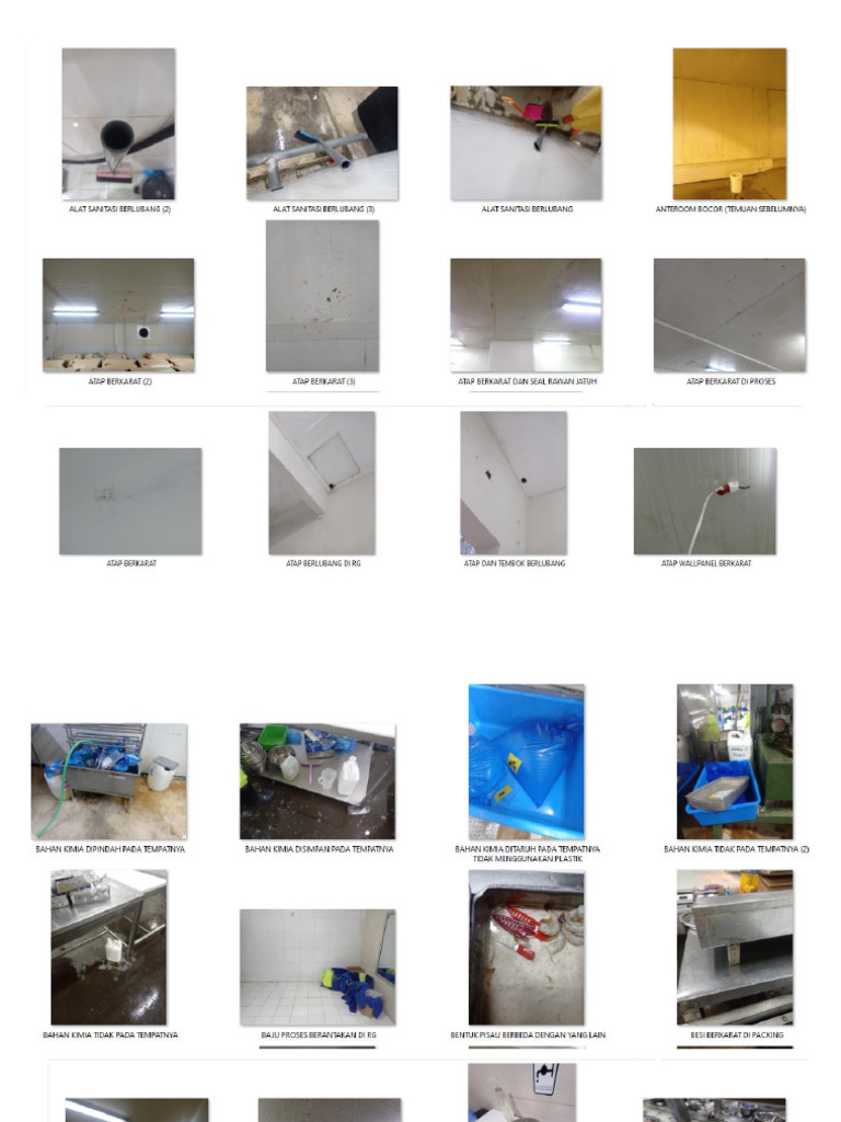 Audit Internal Untuk BRC | PDF