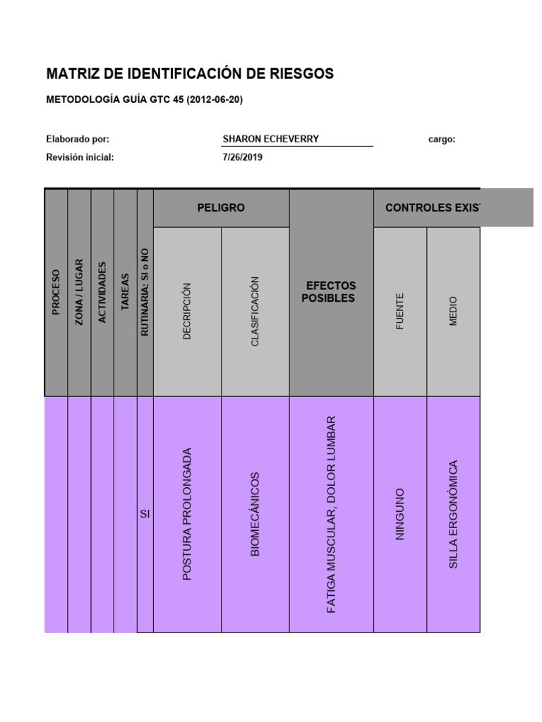 Matriz de Riesgos en Hospital Santander | PDF | Factores humanos y ...