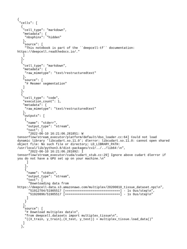 Mesmer Application - Ipynb | PDF | Computer Architecture | Computer Engineering