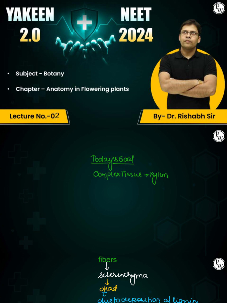 Anatomy of Flowering Plants 02 Class Notes Yakeen 2 0 2024 Legend | PDF